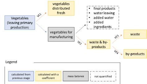 Modelling Of The Processing And Manufacturing Stage Of Vegetables