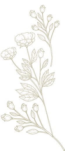 The Wedding Of Andry Dan Tari