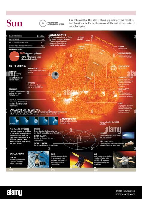 Infographics In Adobe Illustrator