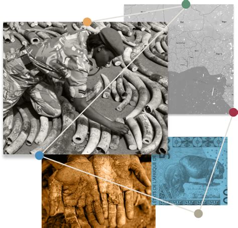 Illicit Hub Mapping Wea Gitoc