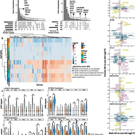 Workflow For Cohort Sample Definition And Sex Stratified Cell