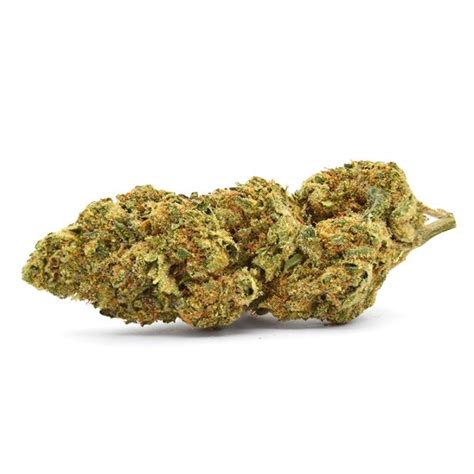 Buy Gelato Float Here Thca Strain 27