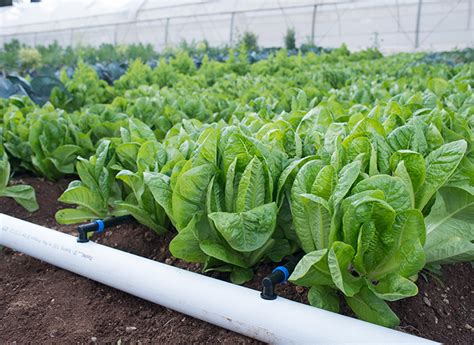 Netafim Nmc Pro Dc Controllers And Parts