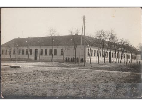 Knicanin Osnovna Skola 79392553