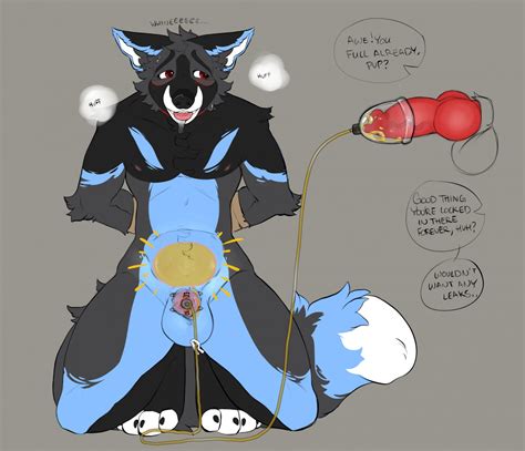 Rule 34 Animal Genitalia Animal Penis Anthro Arms Tied Arrin Balls