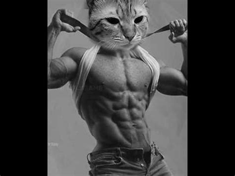 Gigachad Cat Cat Sigma Shorts Youtube