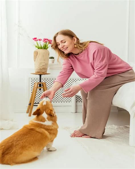 Small Dogs 7 Amazing Breeds With Incredible Talents And Training Tips