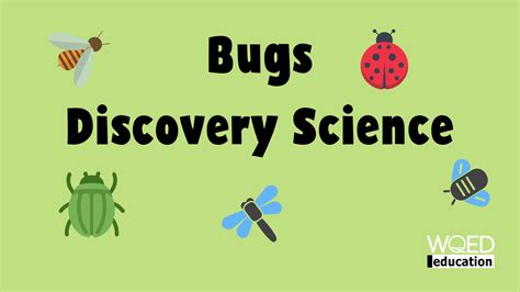 Science Bugs
