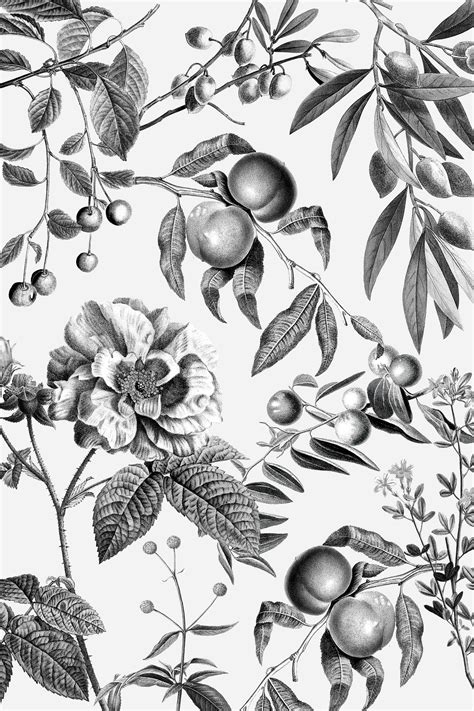 Rose Black And White Images Free Vectors Pngs Mockups And Backgrounds