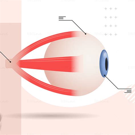 Ophthalmology Vector Poster Illustration