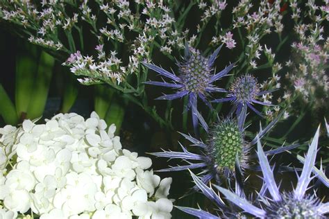 Flower Drying Process Best Flower Site