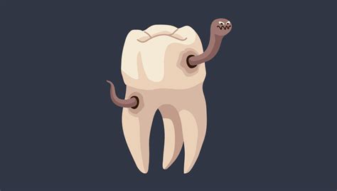 What Were Tooth Worms The Strangely Widespread Belief That Pain And