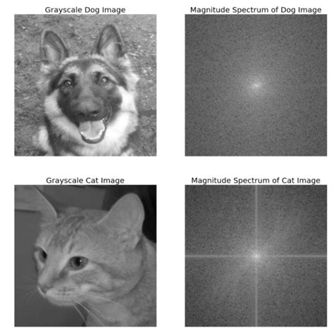 Computer Vision Using Opencv Analytics Vidhya