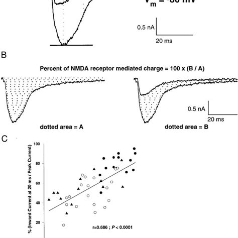 Analysis Of Evoked Synaptic Currents Because The Nmda Receptor Download Scientific Diagram