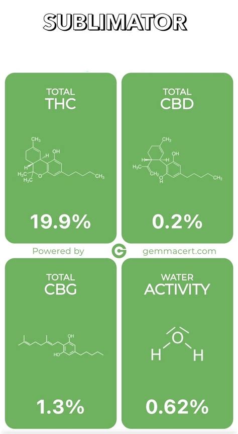 Sublimator Buds Weed Seeds Thailand