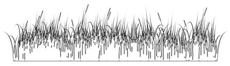 Grass Drawing Black And White
