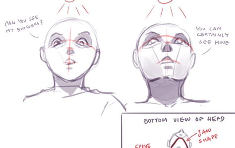 Low Angle Drawing Anacetoz