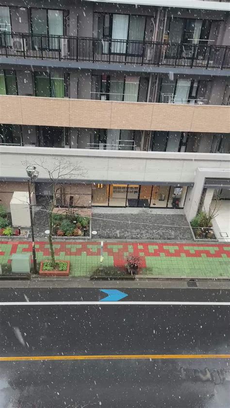 Blondegirlbj Videos Download The Best Free 4k Stock Video Footage