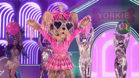 Who Is Yorkie On The Masked Singer Season 13 What To Watch