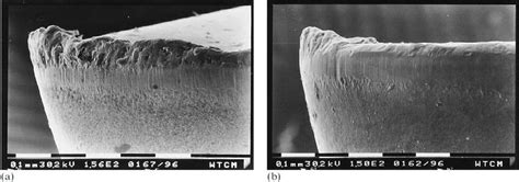 Morphology Different Conditions A Untreated B Pcvd Combined Download Scientific Diagram