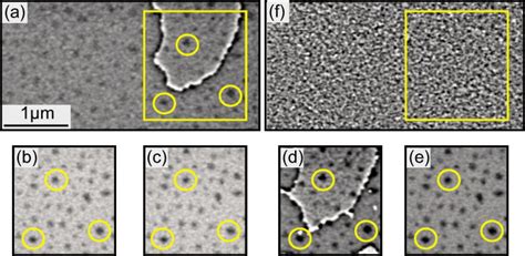 Engineering The Ferromagnetic Domain Size For Optimized Imaging Of The