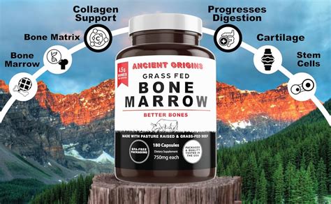 Ancient Origins Grass Fed Beef Bone Marrow Supplement