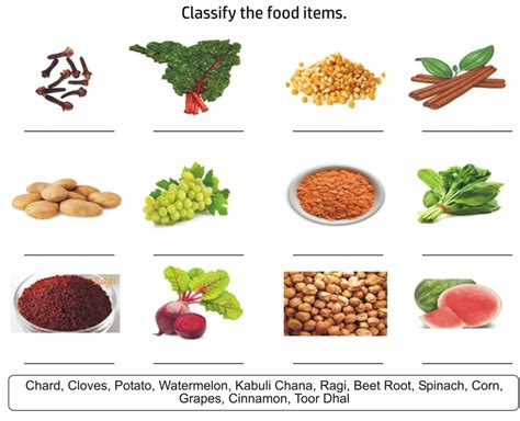 Worksheets Classify The Food Items