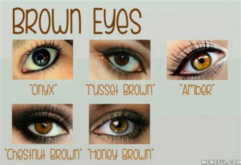 Different Shades Of Brown Eye Color