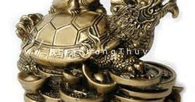 Làm Đẹp Từ Thiên Nhiên Rồng Phong Thủy Chọn Sao Cho đúng