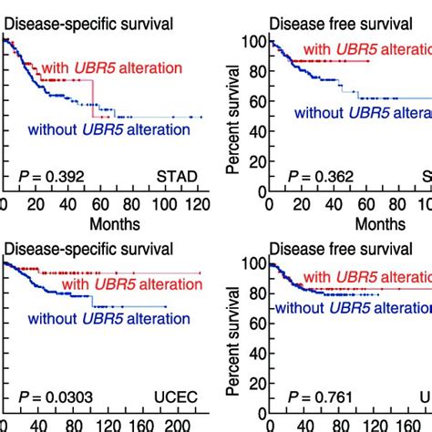 Genetic Features Of Mutations Of Ubr5 In Different Tumors Cbioportal Download Scientific