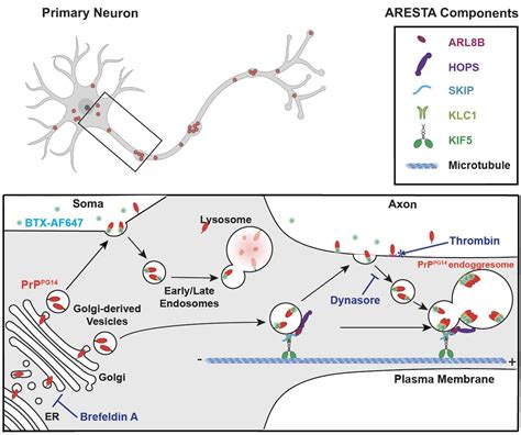 Bio Protocol Improve Research Reproducibility