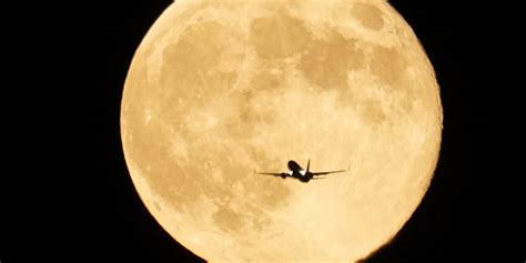 Sunshine Corner 112024 Saras Fun Facts