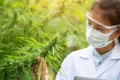 Premium Photo Woman Working On Plant