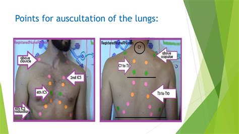 Physical Assessment Of Thorax And Lungspptx