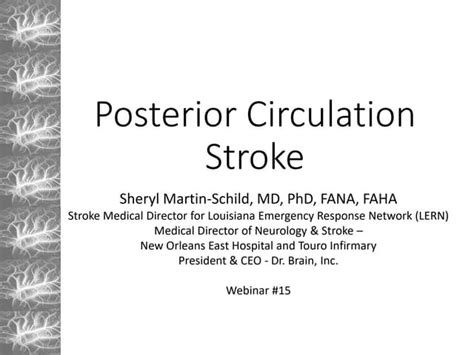 15 Posterior Circulation Stroke Neurologypdf Ppt