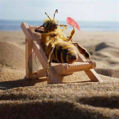 Bletariasollaku Youtube