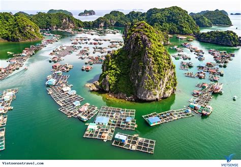 Giới Thiệu Bến Bèo Một Trong Những địa điểm Không Thể Bỏ Lỡ Khi đến