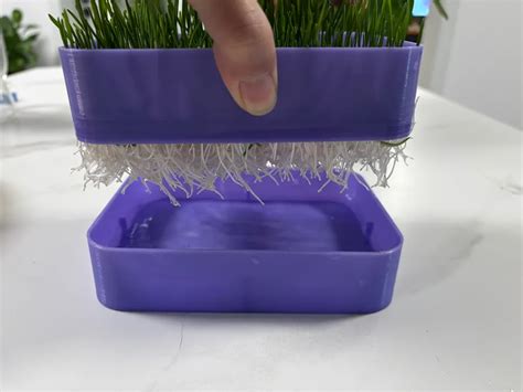 Cat Grass Wheatgrass Hydroponic Planter By 红领巾 Makerworld