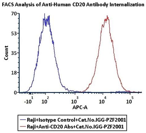 Acrobiosystems Antibody Internalization Detection Reagent Get Quote