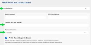How To Get Corporation Profile Report In Ontario Canada