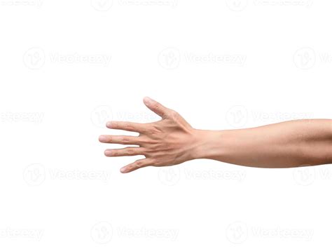 Skin Of Man Hand Isolatedmale Arm White Background 17073278 Stock