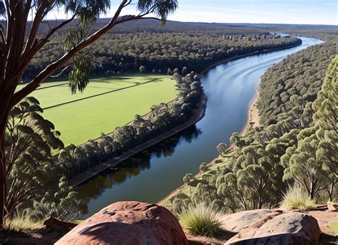 Fotos De Murray 1000 Fotos De Stock Gratuitas De Gran Calidad