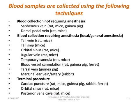 Blood Sample Collection In Lab Animals Pptx