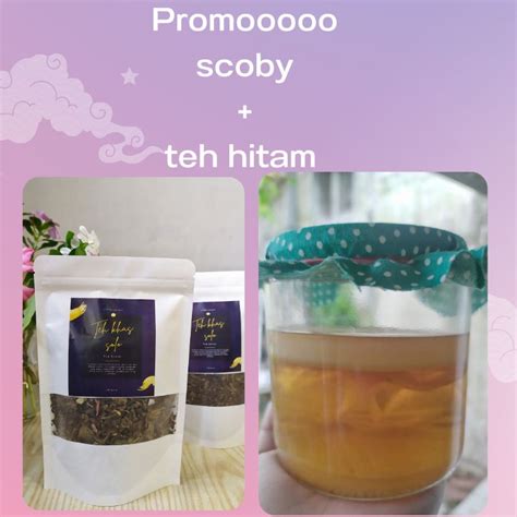 Jual Promo Bibit Kombucha Jamur Scoby Scoby Terbaik Teh Shopee Indonesia