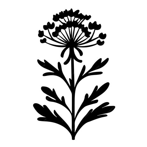 Premium Vector A Black And White Of Statice Vector