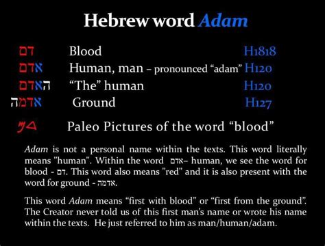 Hebrew Word Adam