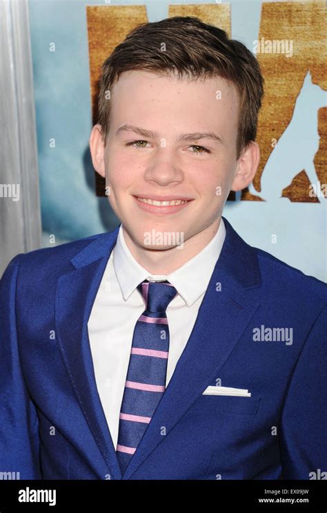Josh Wiggins Us Filkm Actor In June 2015 Photo Jeffrey Mayer Stock