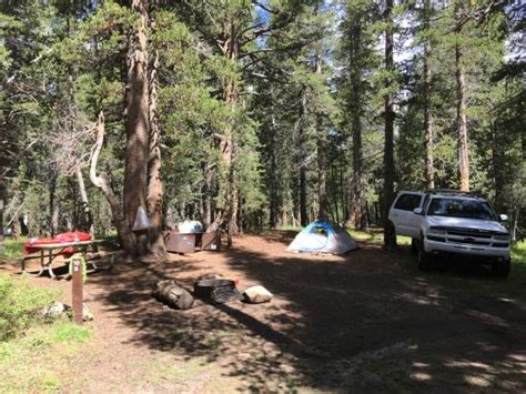 Tuolumne Meadows Campground Parc National De Yosemite Californie