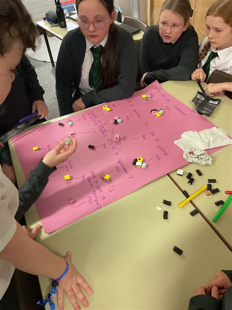 Learning About Classification English Martyrs Catholic Primary School