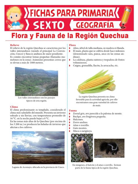 Flora Y Fauna De La Región Quechua Pdf Clima Templado Clima